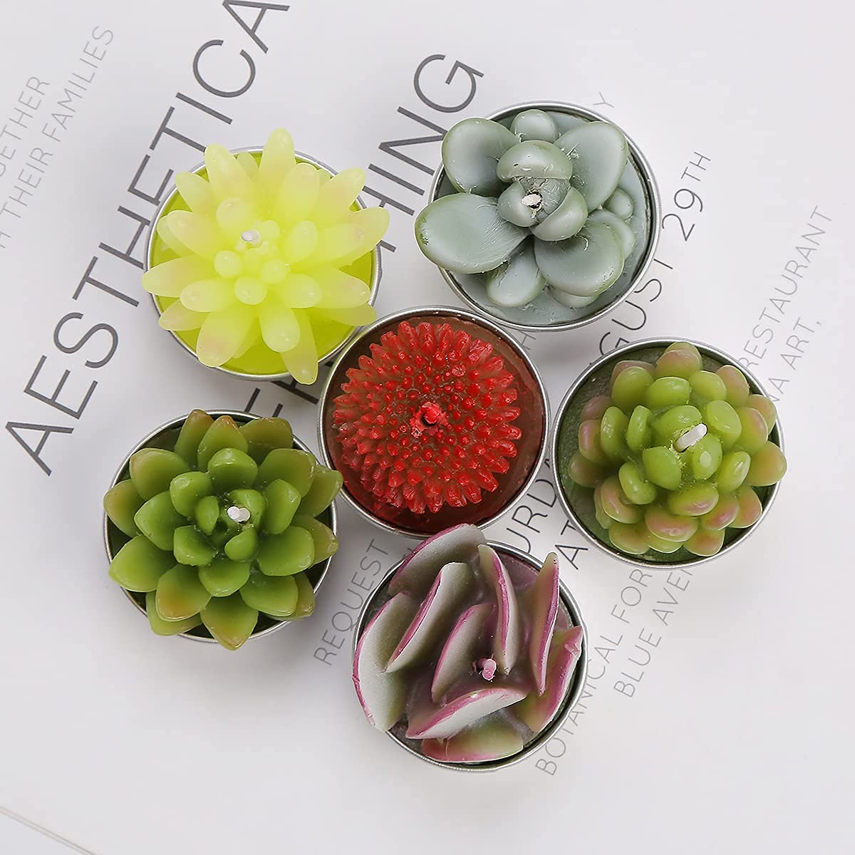 LJQizn 6pcs Cactus Tealight Candles Handmade Delicate Succulent Cactus Candles Tea Lights Perfect for Birthday Party Wedding Spa Home Decor Gifts (6pcs Cactus Candles)