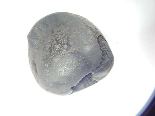 Laxmi Narayan Shaligram Lakshmi Narayan Salagram - Gandaki River Nepal