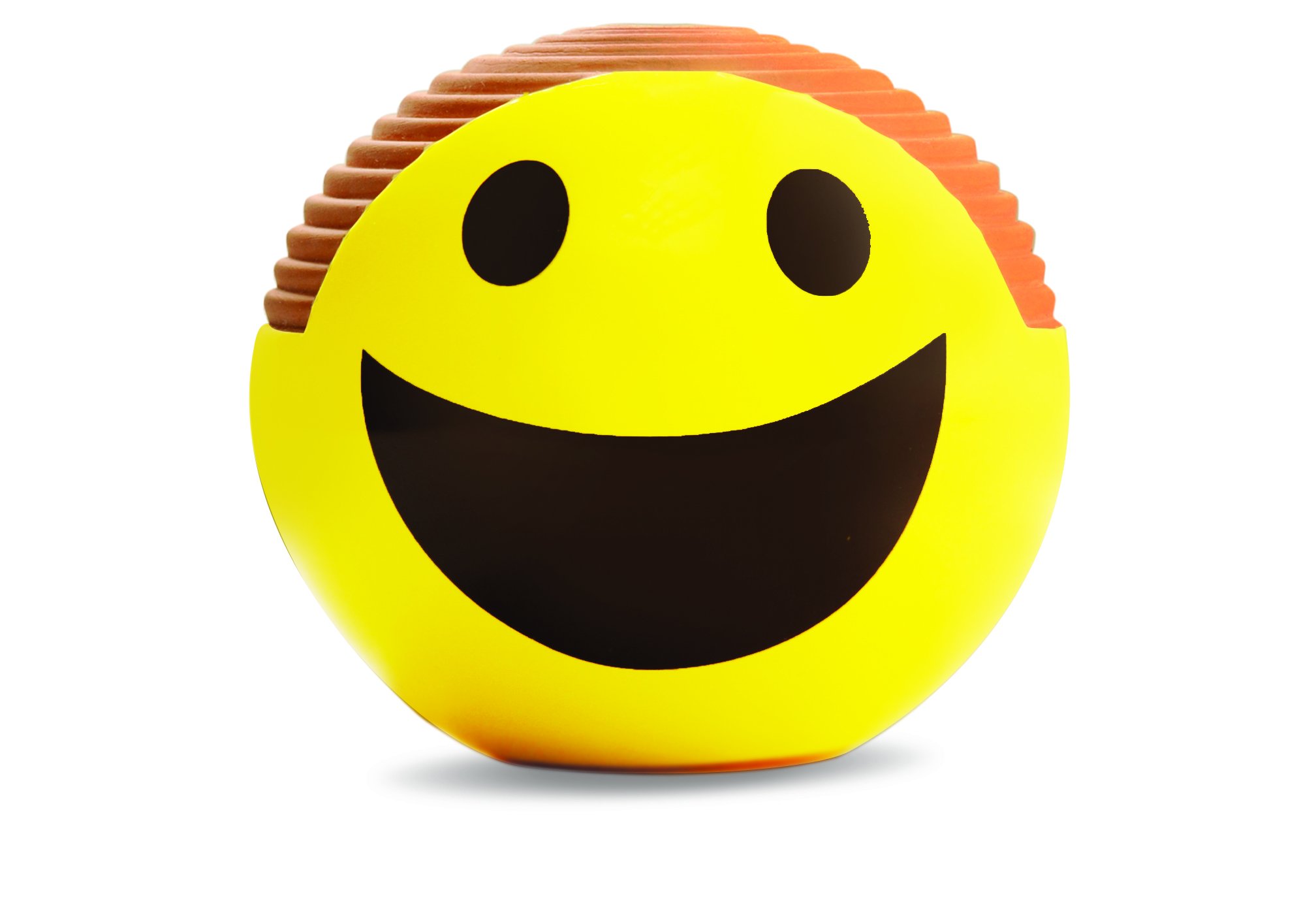 Chia Pet Emoji Smiley with Seed Pack, Decorative Pottery Planter, Easy to Do and Fun to Grow, Novelty Gift, Perfect for Any Occasion