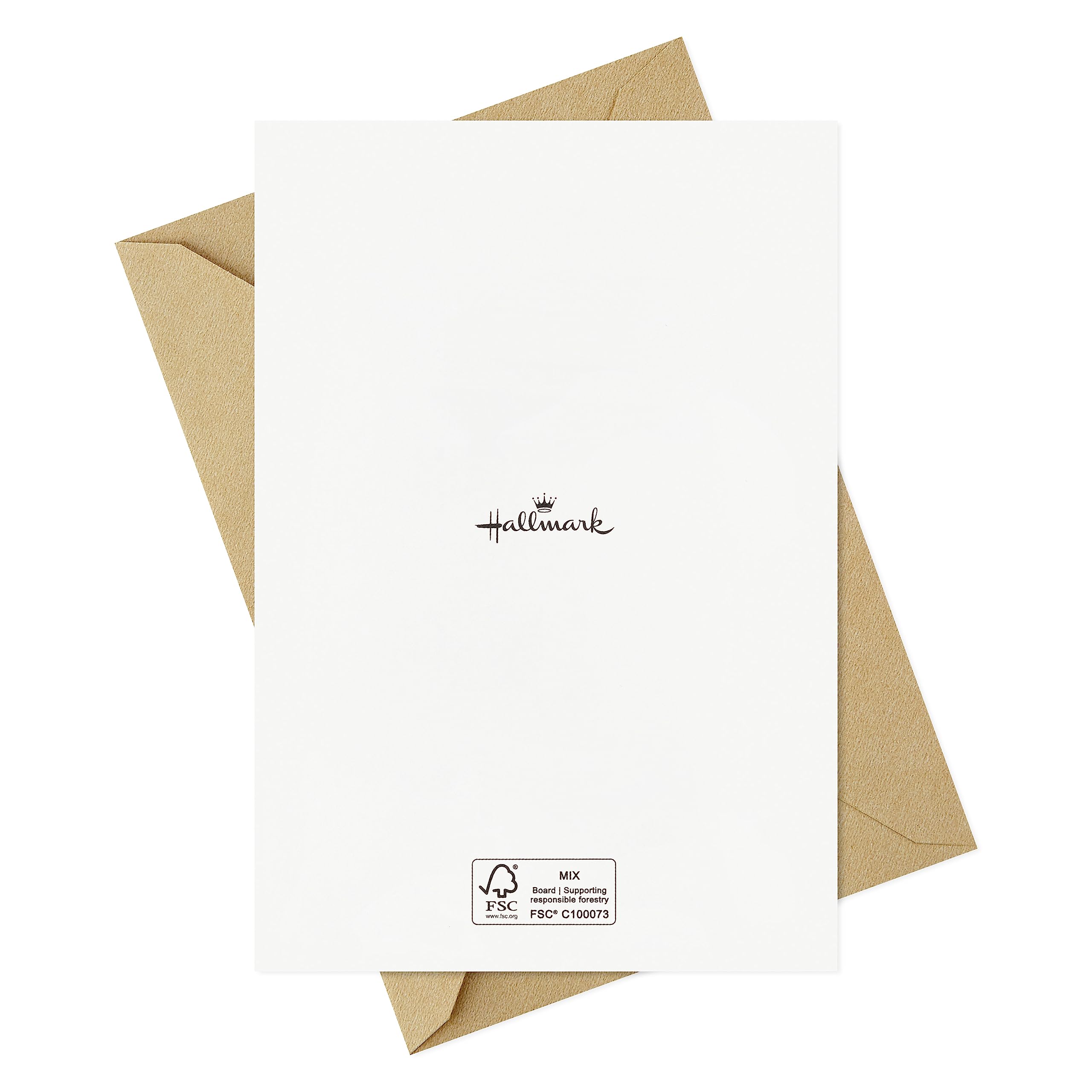 Hallmark Bulk Thanksgiving Cards Assortment (72 Cards with Envelopes) Stripes, Leaves, Plaid