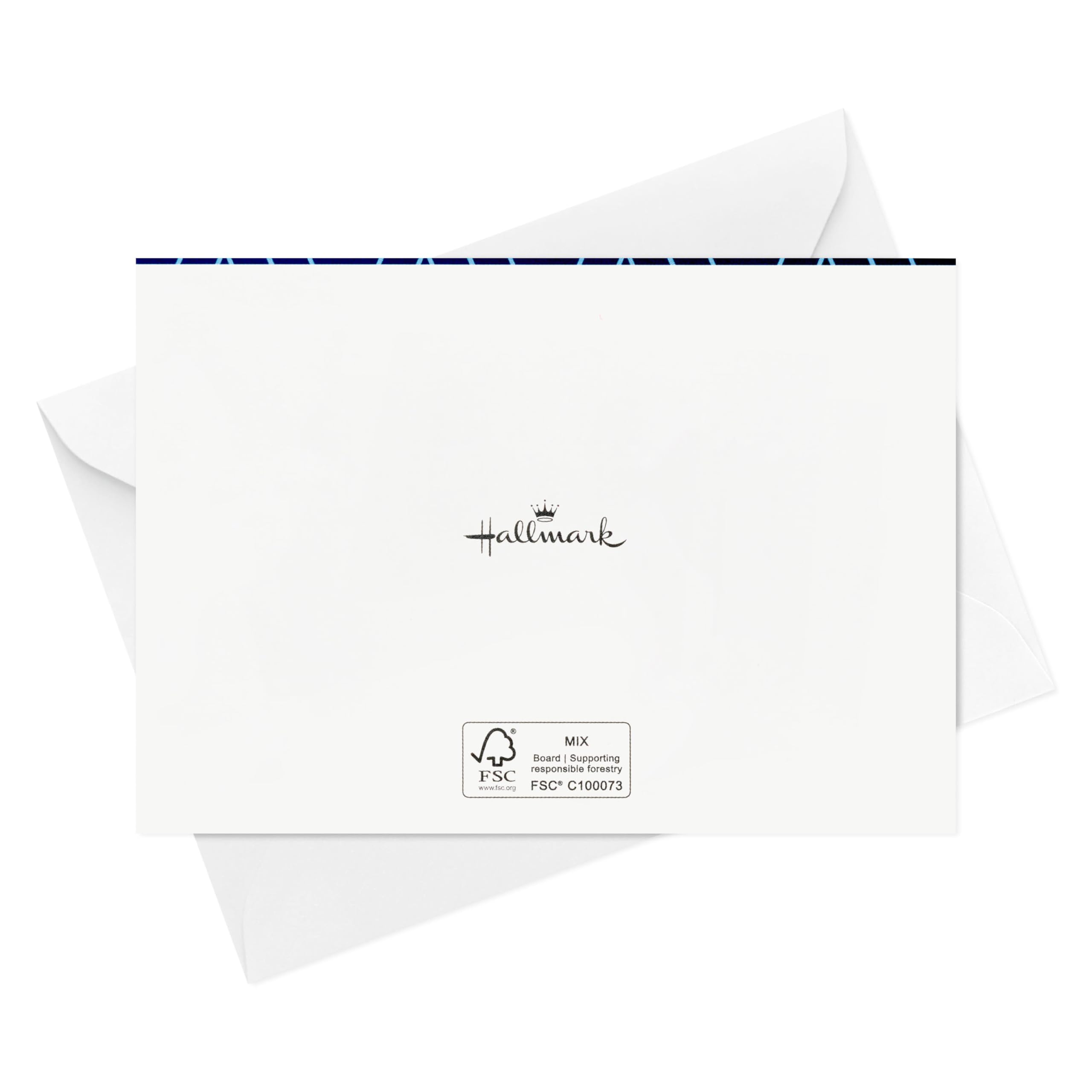 Hallmark Thank You Card Bulk Assortment (48 Blank Cards with Envelopes) for Graduation, Bridal Shower, Birthday, All Occasion