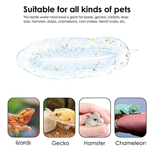 JANKOW 1 Pair DIY Handmade Long Leaf-Shaped Reptile Food Water Bowl, Plate Dish for Tortoise, Snake, Hermit Crab, and Chameleon for Drinking and Eating