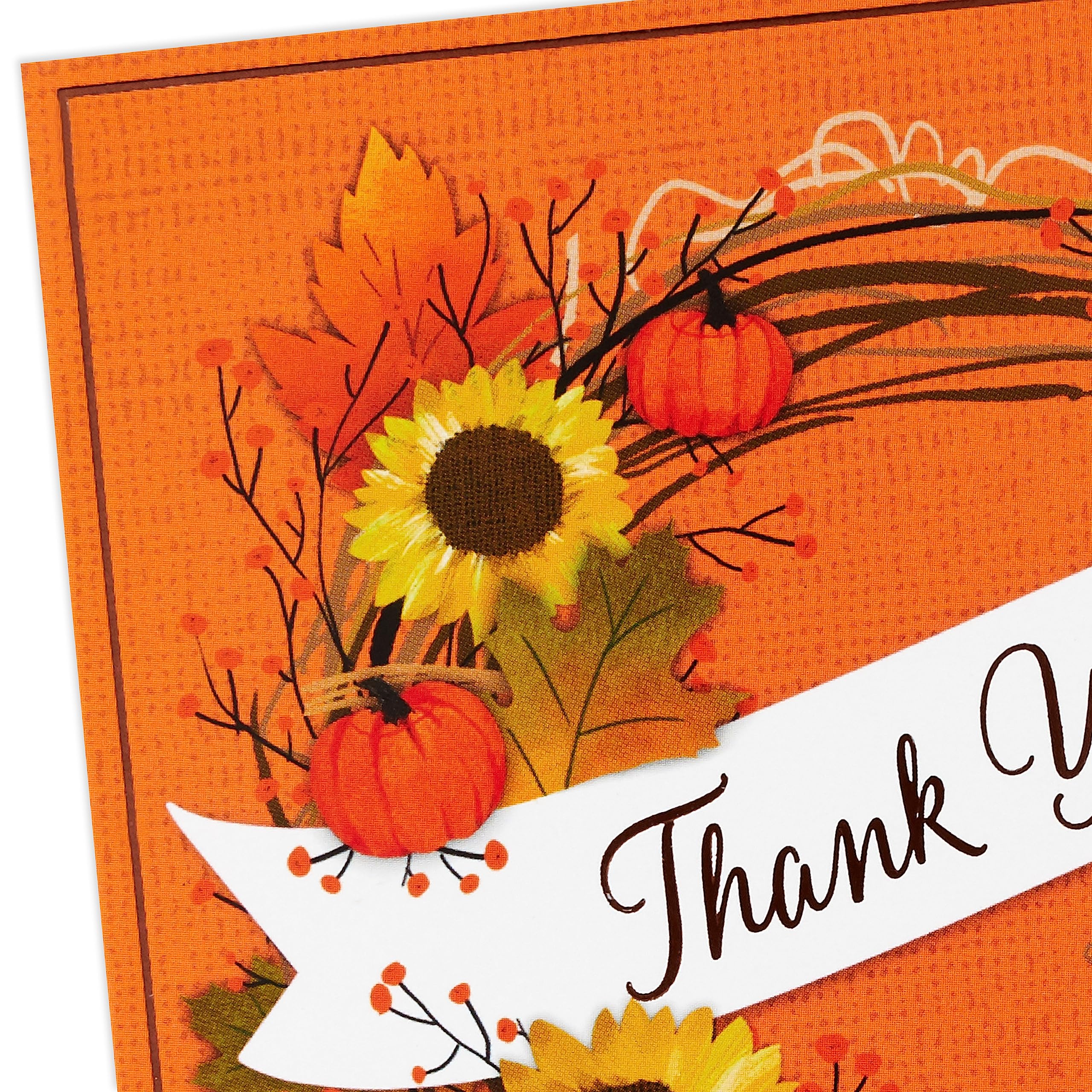 Hallmark Fall Thank You Cards (6 Cards with Envelopes) for Thanksgiving, Teachers, Clergy Appreciation, Boss's Day