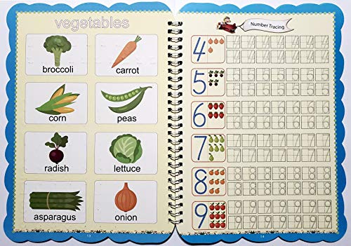 Handwriting Practice - Reusable Letter and Number Tracing Workbook