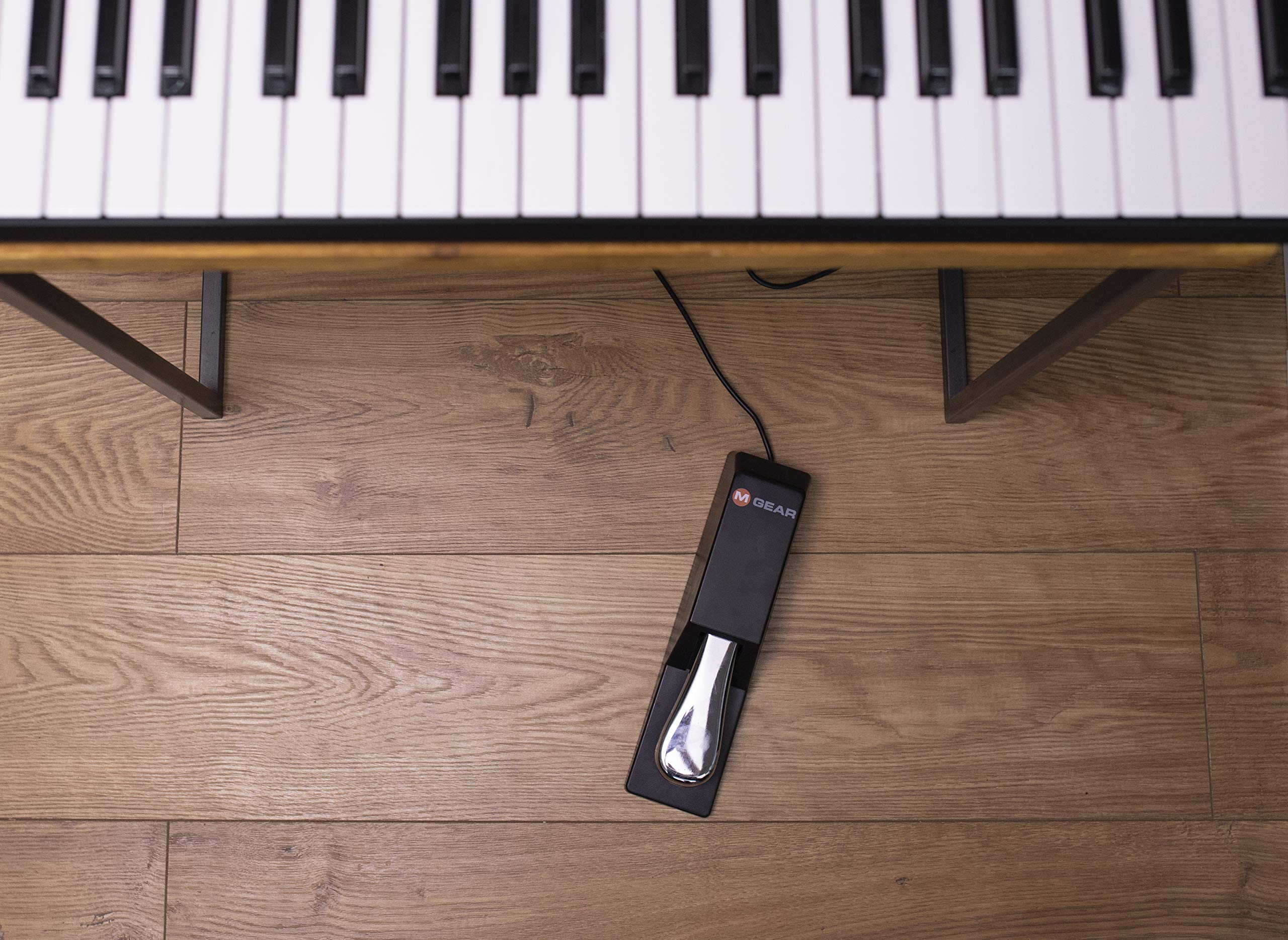 Casio CT-S300 61-Key Premium Keyboard Pack with Stand, Headphones & Power Supply (CAS CTS300 PPK) & M-Audio SP 2 - Universal Sustain Pedal, Digital Pianos & More