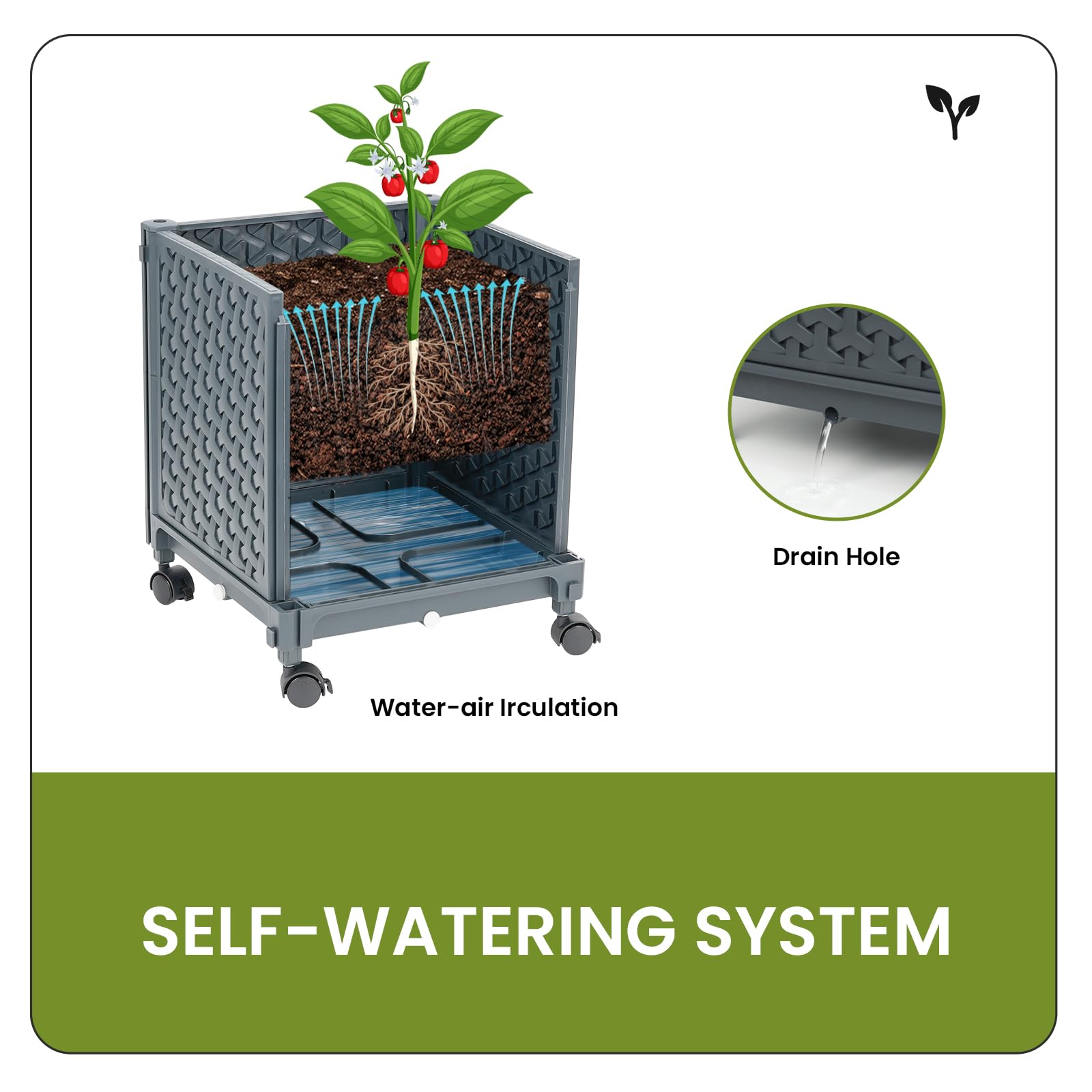 DXront Raised Garden Bed with Tomato Cage 56.7β Self Watering Tomato Planter Boxes with Trellis Wheels for Outdoor Climbing Flowers Vegetable Vine Vegetables