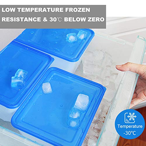 Food Storage Containers with Lids(45.6 Ounce,10 Pack) - Plastic Containers with Lids Storage, Rectangular Meal Prep Plastic Containers Freezer Containers,Kitchen Food Deli Containers