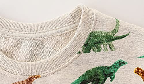 BTGIXSF Little Boys Cotton Crewneck Pullover Sweatshirts Tops Dinosaur 195 5T