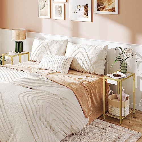 HOOBRO End Tables Set of 2, Side Table with Charging Station, 2-Tier Nightstands with Storage Shelves, Small Space Bedside Table, Telephone Table, Tempered Glass, Living Room, Gold GD56UBZP201