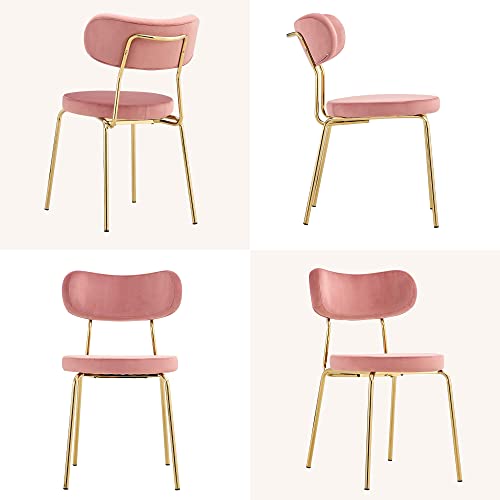 ivinta Stackable Dining Chair Set of 4, Modern Pink Velvet Chairs with Golden Legs, Mid Century Side Chairs for Dining Room, Living Room, Bedroom, Kitchen, Armless Vanity Accent Chair for Small Space