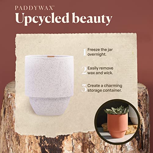 Paddywax National Parks Artisan Hand-Poured Scented Candle, 11-Ounce, Glacier - White Pine + Hemlock