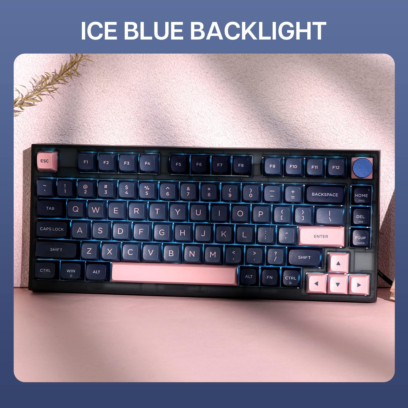 EPOMAKER SKYLOONG GK75 Lite Gasket-like Mount Wired Gaming Keyboard with A Rotary Knob, Hot Swappable Mechanical Keyboard, Programmable Custom Keyboard, for Win/Mac (Blue Pink, Gateron Optical Black)