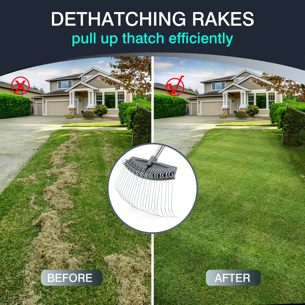 Colwelt Thatch Rake -24 Steel Tines, Dethatching Rake with 54ββ Lightweight Stainless Steel Handle, Yard Dethatcher Rake for Lawn(Pine Needles, Dead Grass, Thatch, Leaves, Mulch)