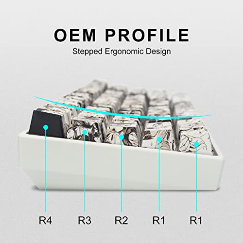 PBT Anime Keycaps 108 Keys, GMKWTL / XVX Japanese Custom Backlit Keycaps, OEM Profile Keycaps for 61/87/104/108 Cherry Gateron MX Switches Mechanical Keyboard (Black Anime)