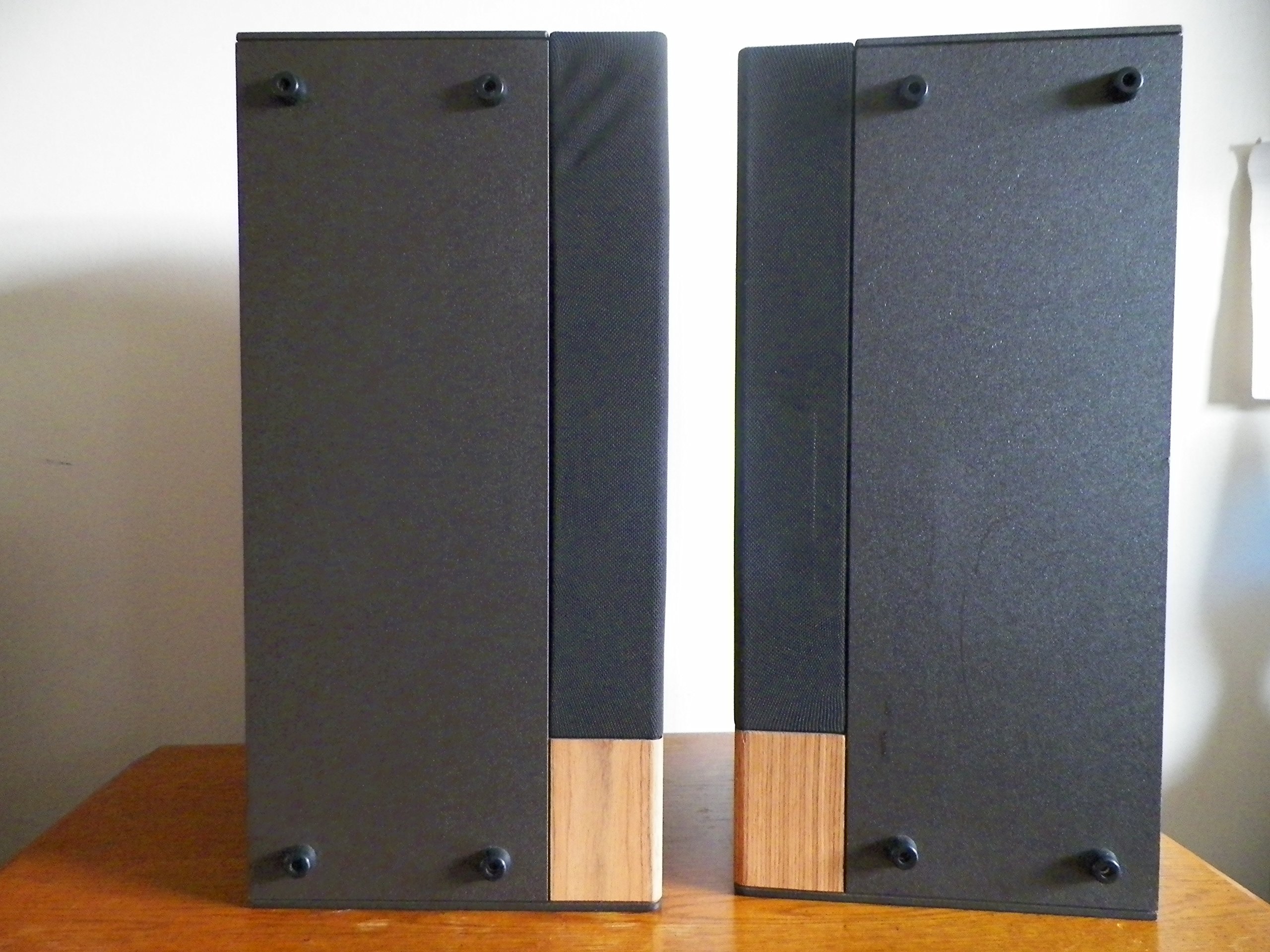 Bose 6.2 Everywhere Speakers
