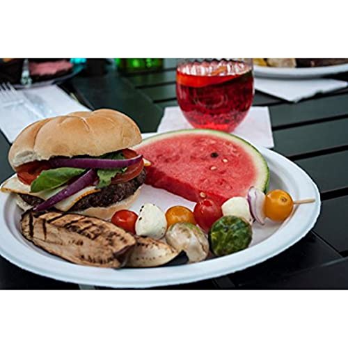 Chinet Premium 12 5/8 x 10-Inch Paper Platters, 24 ct - 2 Pack