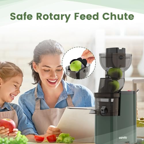 Cold Press Juicer, Juicer Machines with High Juice Yield,Easy to use Juice Extractor Maker For Full-Bodied Fruit & Veg Juice