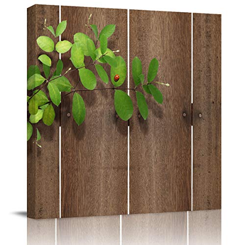 Canvas Wall Art Pictures on Canvas Oil Painting Art with Framed for Home Decorations Green Leaf on Wooden Plank (20'' x 20'' x 1 Panel)