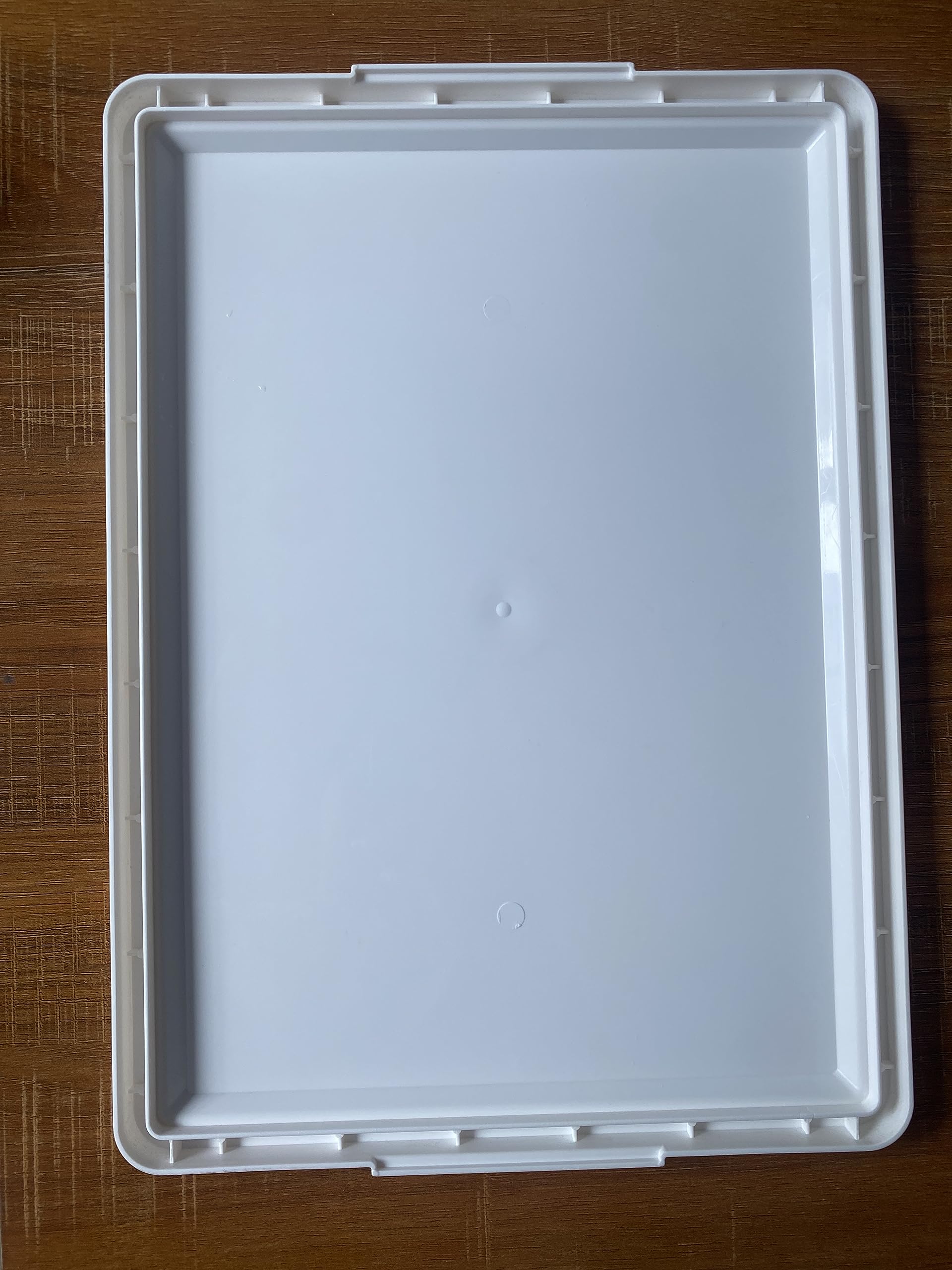 CTSNSLH Storage Bins with Lids Organizer (2 Lids for 23QT Style)