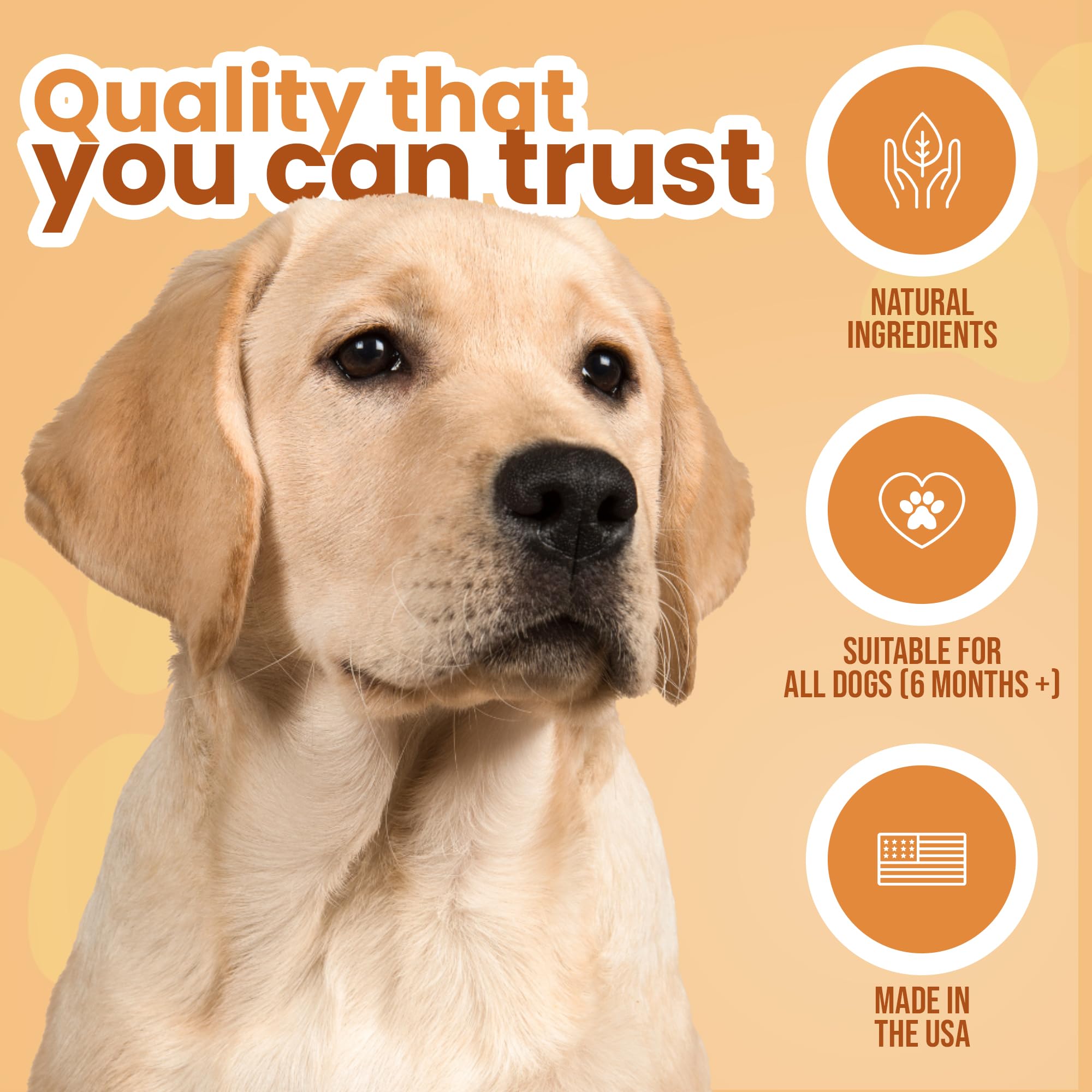 Furevery Chewable Dog Vitamins and Supplements β Daily Longevity Multivitamin for Dogs with Curcumin, Taurine, Trans-Resveratrol β Essential Vitamins for Dogs to Support Wellness and Vitality