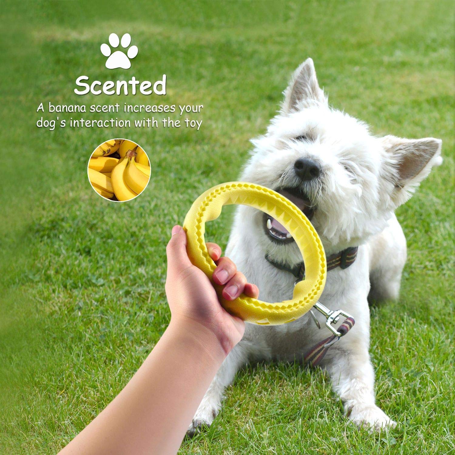 Fluffy Paws Dog Chewing Ring - Soft Rubber Ring Dental Chewing Teething Biting Chasing Training Toy for Small and Medium Dog Puppy - 7", Yellow