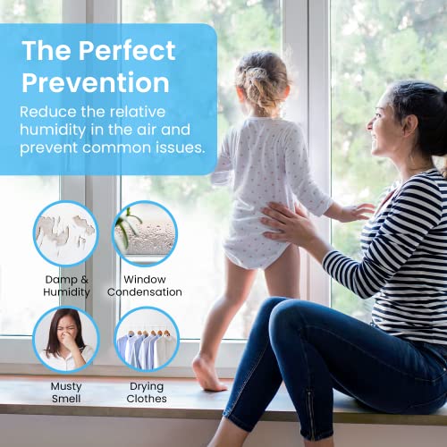 Pro Breeze Dehumidifiers for Home,225sqft Small Dehumidifiers for Room,16oz Tank Portable Closet Dehumidifier Removes Humidity Mini Small Dehumidifier for Bathroom Dehumidifier for Bedroom RV Basement