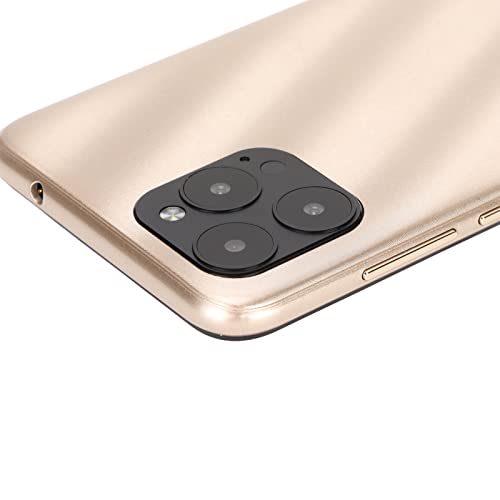 IP13 Pro 6.1 Inch HD Sn Smartphone 3GB 32GB Dual Sim Cell Phone with Front and Rear HD Camera for Android Unlocked Refurbished Apple iPhone (Gold)