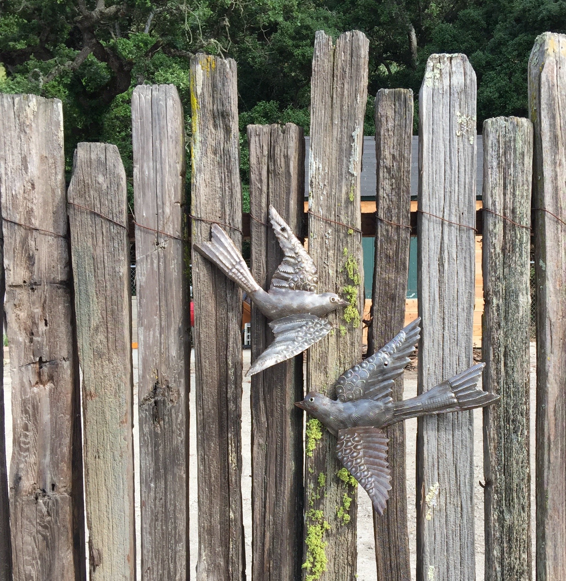 Set of 2 Garden Birds, Spring Home Accent Decor, 3D Wings, Metal Wall Hanging, Indoor Outdoor Display, Handmade 11 x 13 Inches