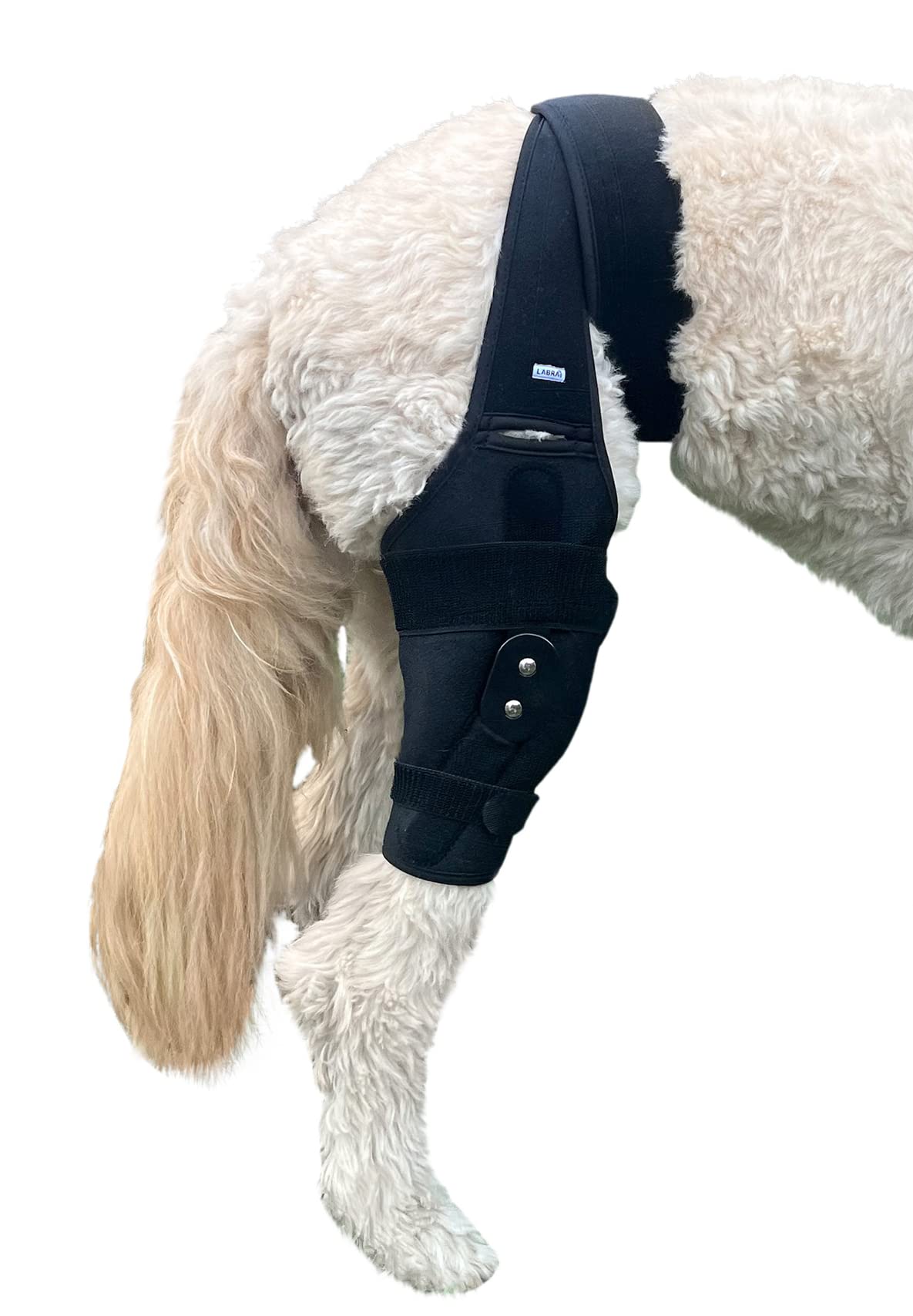 Labra Dog Canine Knee Stifle Brace Wrap, Metal Splint Hinged Flexible Support Brace for K9 ACL, CCL, Luxating Patella, Cruciate Ligament Sprains in Back, Rear, Hind Leg (Extra Large - 75-100lbs)