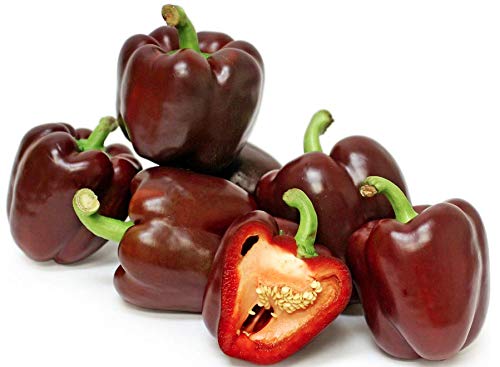Chocolate Beauty Sweet Bell Pepper Seeds for Planting, 20+ Heirloom Seeds Per Packet, (Isla's Garden Seeds), Non GMO Seeds, Botanical Name: Capsicum annuum, Great Home Garden Gift