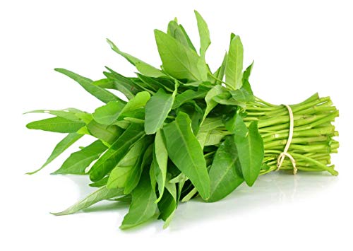 Gaea's Blessing Seeds - Ong Choy Seeds - Kong Xin CAI Kangkong - Non-GMO Seeds with Easy to Follow Planting Instructions 94% Germ Rate (Pack of 1)