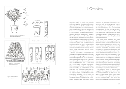 Plants from Test Tubes: An Introduction to Micropropogation