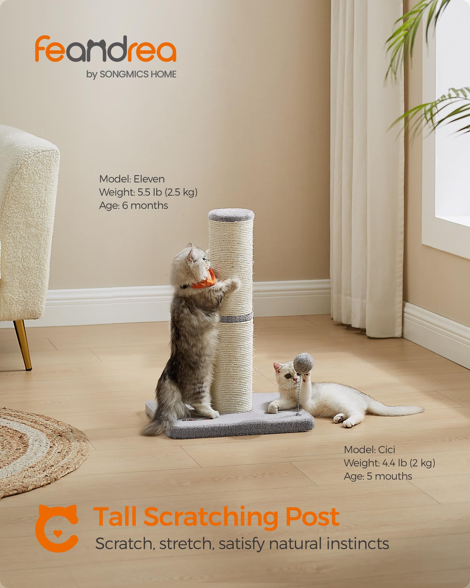 Feandrea Cat Scratching Post, 20.8-Inch Tall Cat Scratcher for Kittens, Small and Medium Cats, Sisal Scratch Pole, Spring Pompom with Built-in Bell, Dove Gray UPCA023G01