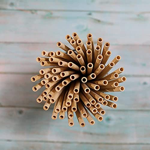 EcoAmiga Bamboo Straw, 8 Inch Reusable & Biodegradable Organic Bulk Straws β Great Ecological Alternative to Plastic Straws (Bamboo)
