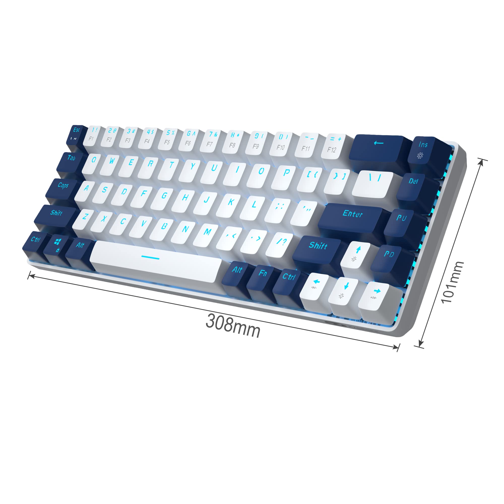 Camiysn 60 Percent Mechanical Keyboard,Compact 68 Keys Anti-ghosting with Red Switch Blue Light with Detachable Type-C Keyboard for PC Gamer Windows Laptop Mac/Xbox(Red Switch, Blue & White)