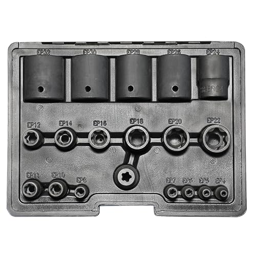 External Torx Plus Socket Set 6 Point EP Socket EP4, EP5, EP6, EP7, EP8, EP10, EP11, EP12, EP14, EP16, EP18, EP20, EP22, EP24, EP26, EP28, EP30, EP32 with 1/2'' 3/8'' 1/4'' Dr E-Torx Plus Socket 19pc