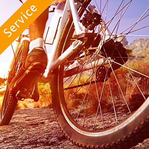 Bicycle Assembly - Electric - At-Home