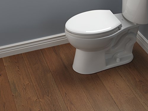 Delta Faucet 813902-N-WH Sanborne Elongated Nightlight Toilet Seat with Slow Close and Quick-Release, White