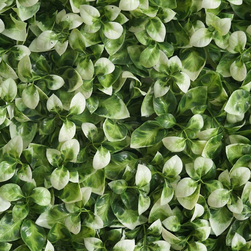 Tableclothsfactory 4 Pack Artificial Boxwood Hedge Faux Foliage Green Garden Wall Mat - White/Green Grass Mat Covers 11sq.ft