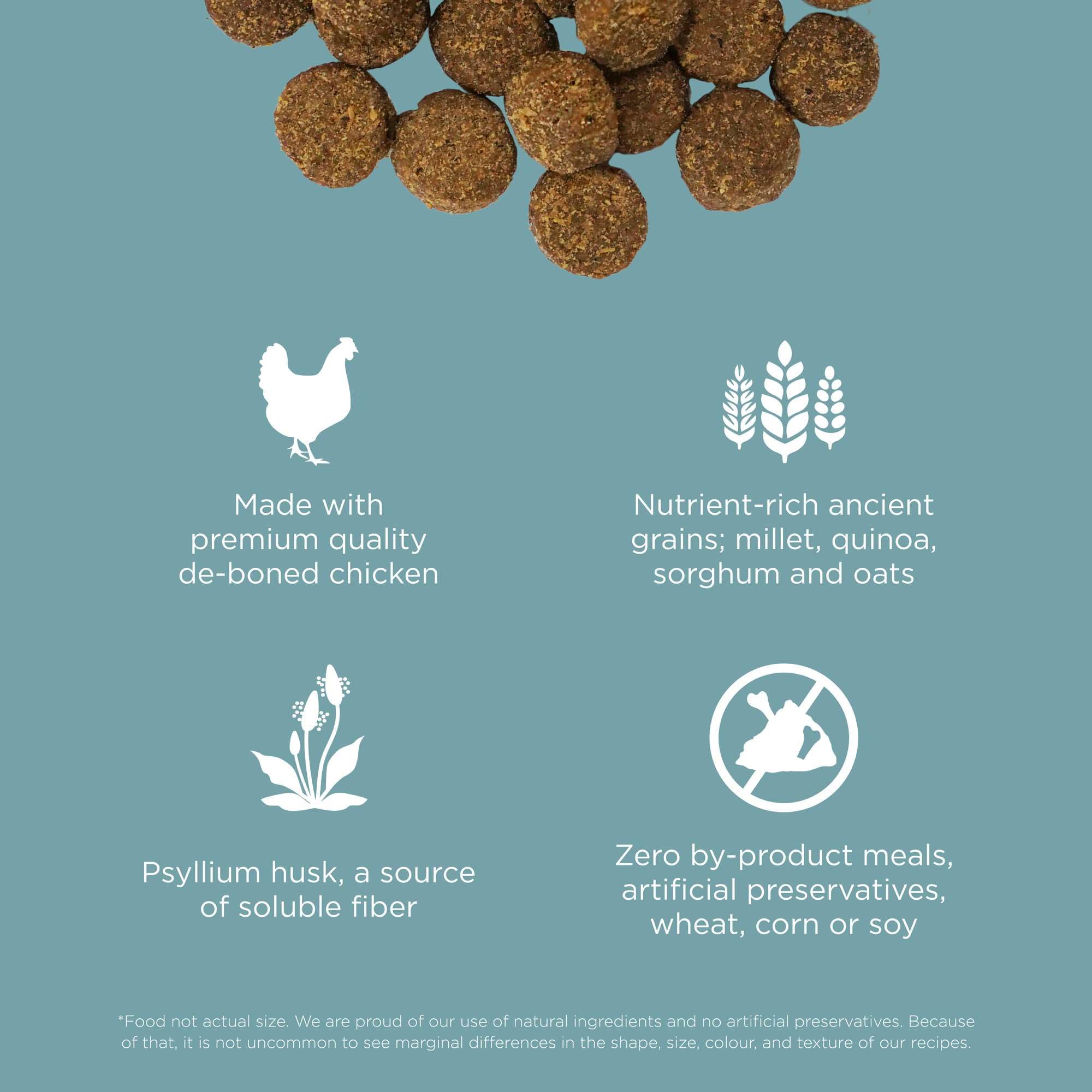 Go! Solutions Digestion + Gut Health, Dry Dog Food, Chicken Recipe with Ancient Grains, 3.5 lb Bag