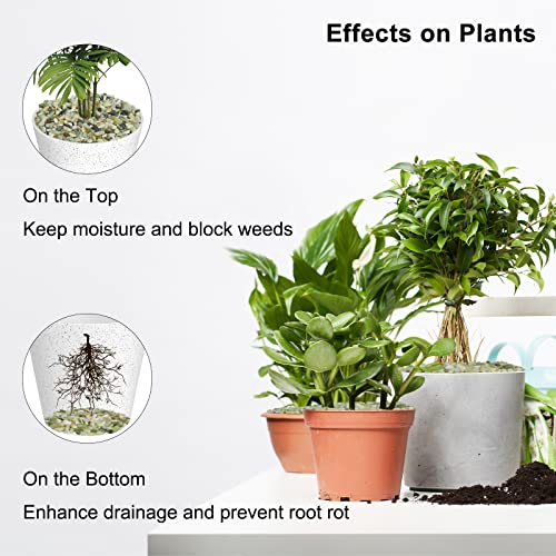 GASPRO 5 Pound Pebbles for Indoor Plants, 3/8 Inch Decorative Rocks for Bamboo, Vase, Succulents, Highly Polished and Smooth Surface, Jade