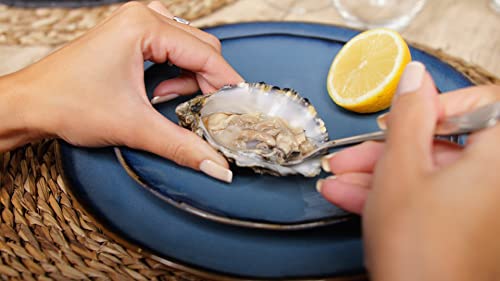 Specialty Oyster Forks Set of 6 Stainless steel 18 10 Center fork crafted into a knife