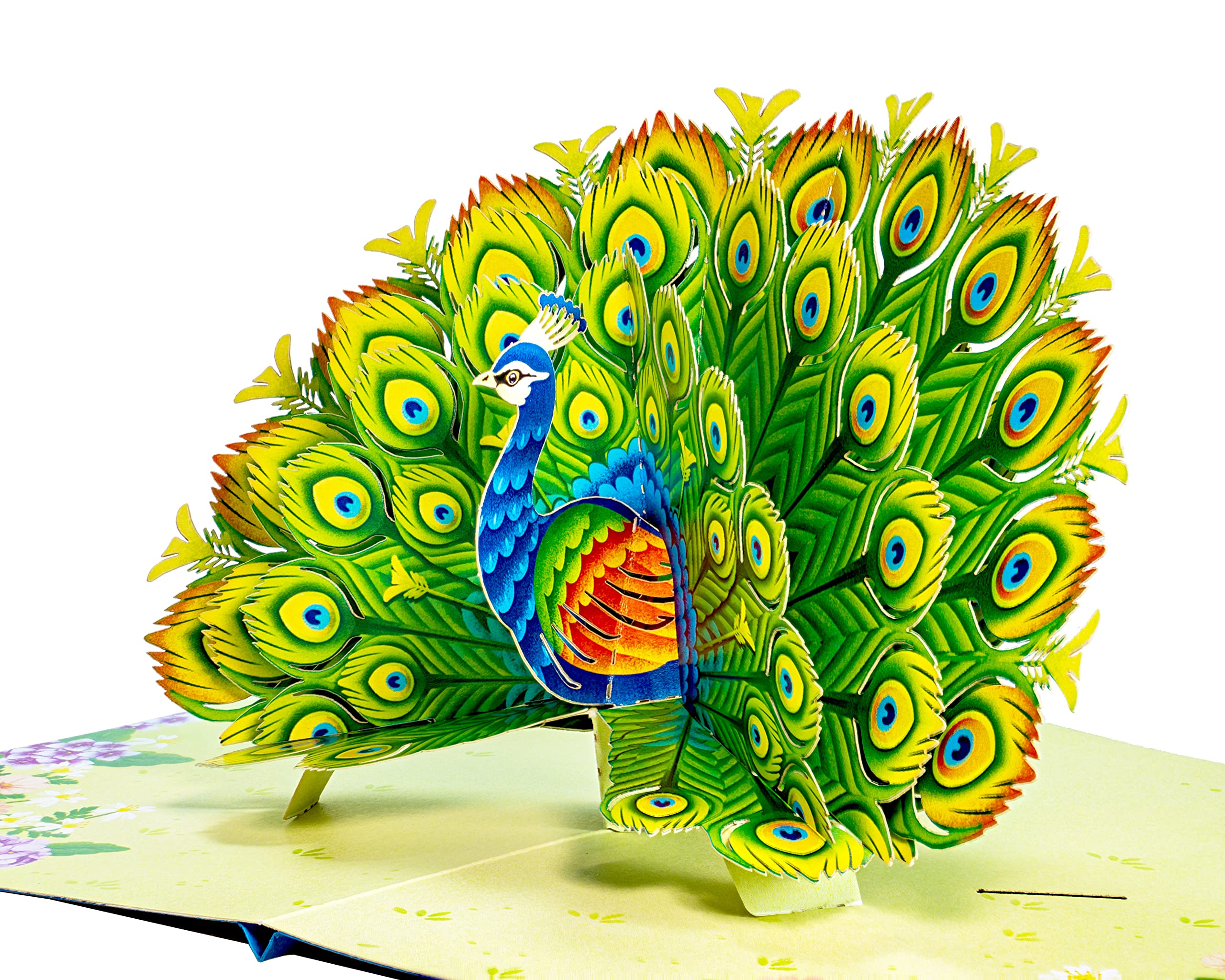 WOWPAPERART Peacock - 3D Pop Up Greeting Card For All Occasions - Love, Birthday, Christmas - Message Note for Personalized - Thick Envelope - 5x7 In