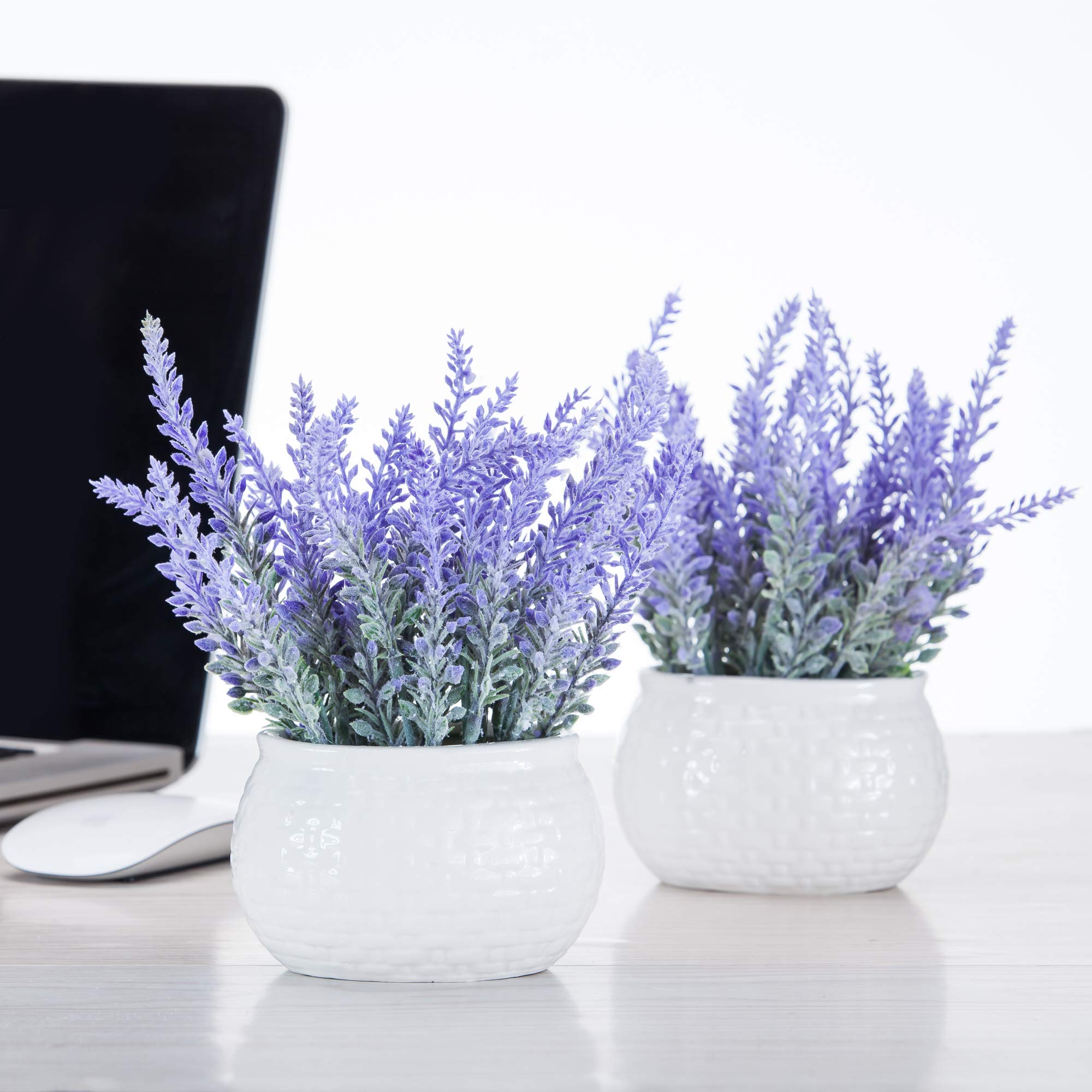 chuangxindaye Artificial Mini Potted Flowers Plant Lavender for Home Decor Party Wedding Garden Office Patio Decoration (Ceramics 2set)