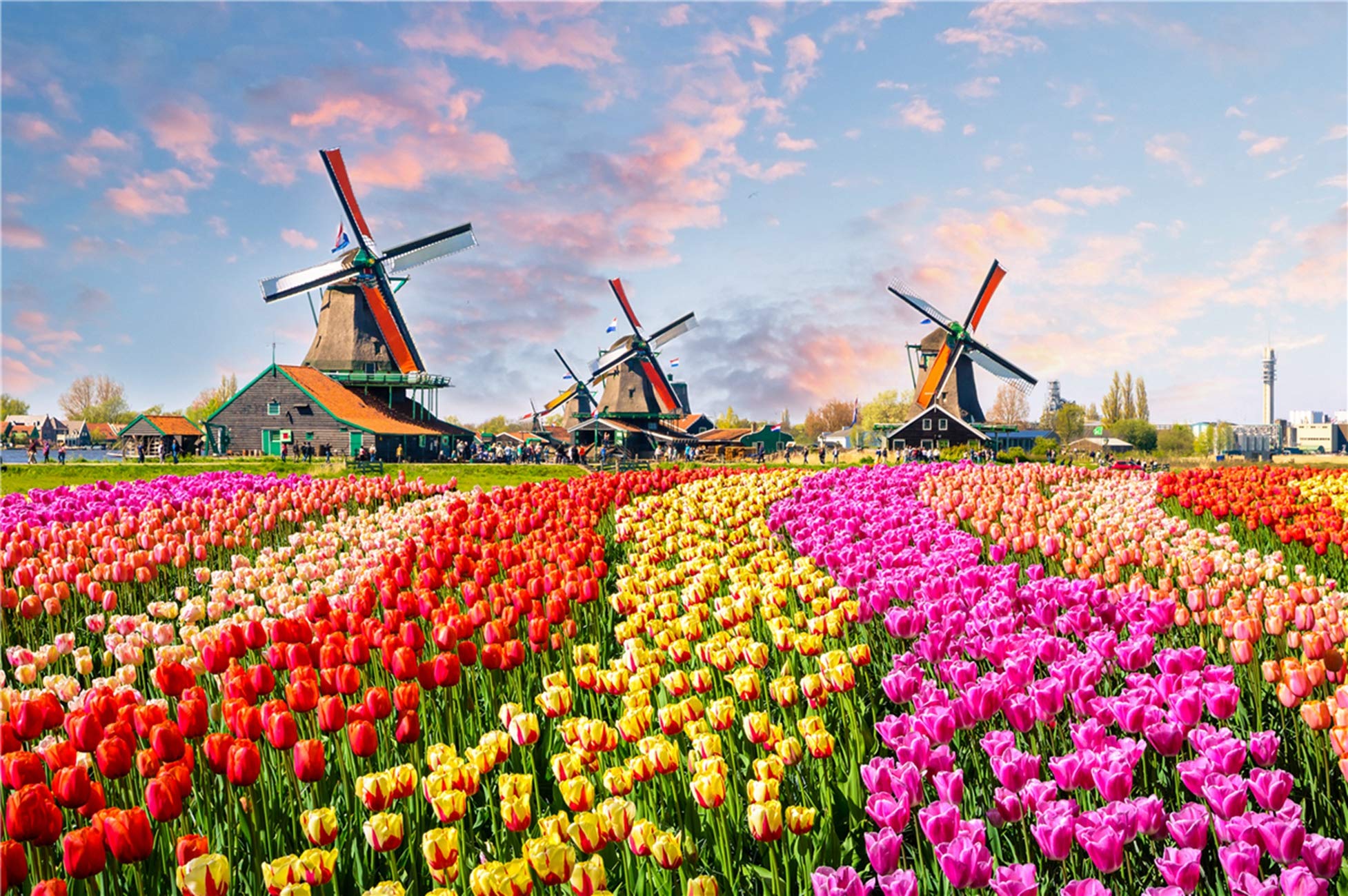 VARWANEO 500 Pieces Puzzle for Adults Educational Intellectual Jigsaw Puzzle Fun Game for Men Women Kids(Dutch Windmill)