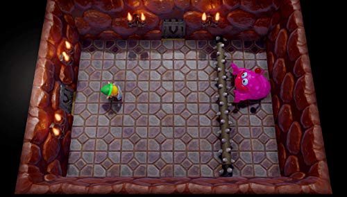 The Legend Of Zelda: Link's Awakening Limited Edition (Nintendo Switch)