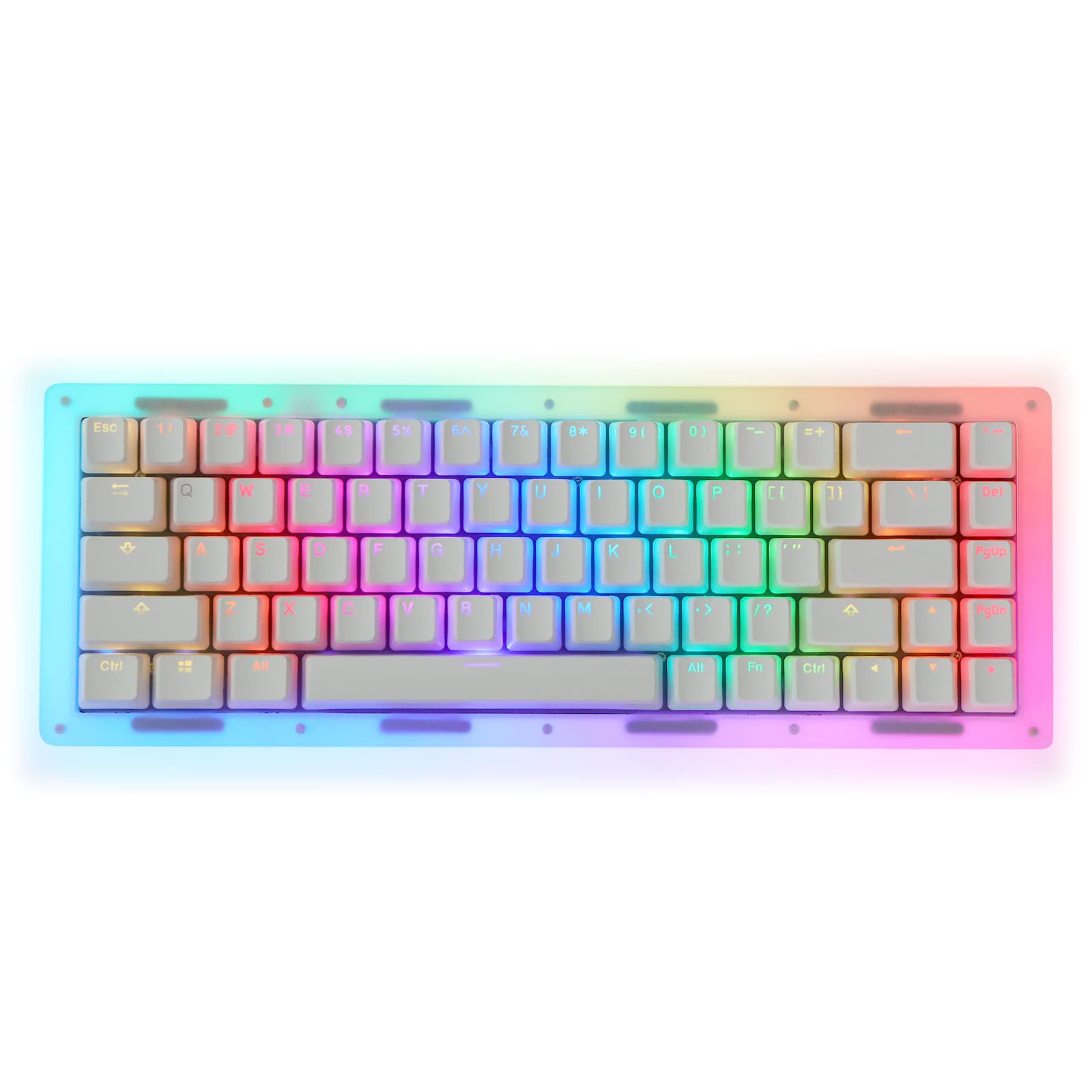 EPOMAKER TK68 65% Gasket Acrylic Hot Swappable 2.4Ghz/Bluetooth 5.0/USB-C Wired Wireless Gaming Keyboard with RGB Backlight, Translucent Pudding Keycaps for Office/Home/Win/Mac(Budgerigar Switch)