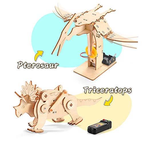 STEM Projects Kits for Kids Age 8-10-12, 4 in 1 3D Wooden Puzzles Dinosaur Craft for 6-8, Building Toys for Boys Ages 8-12, Wood Woodworking Model Kits, DIY Dino Robot Kit