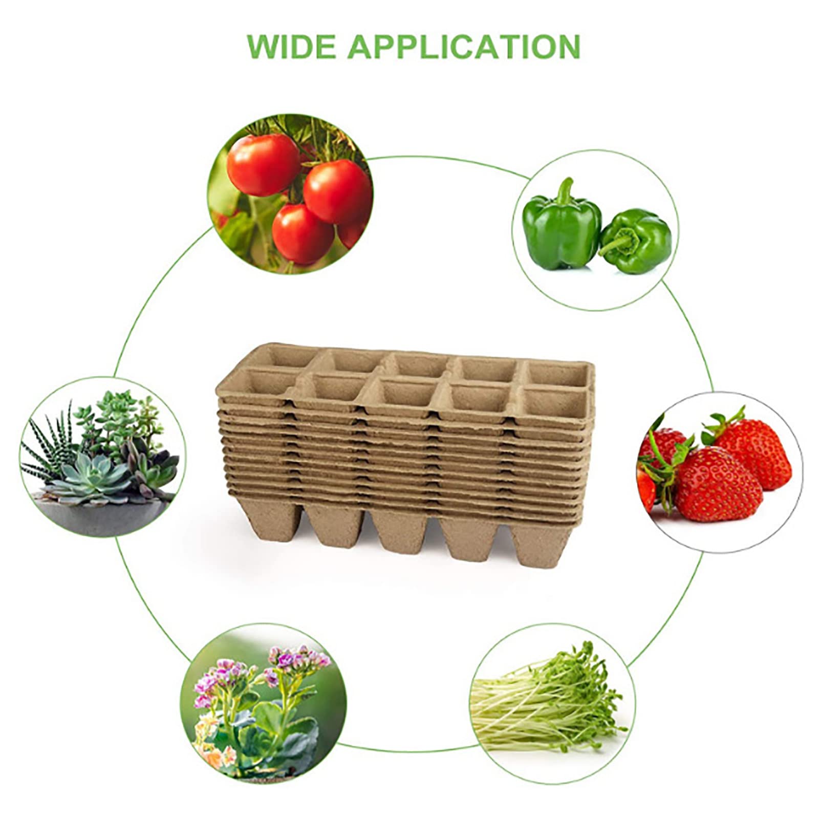Cloning Domes for Trays12 Seed Pots Seedling Pots Pack Trays Indoor Seedling Outdoor Seed Disseminators Oh Deeds