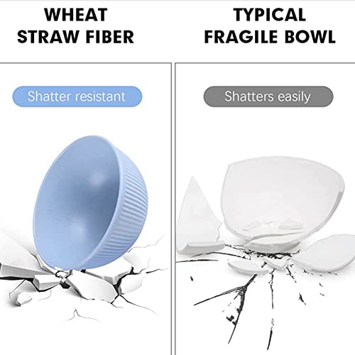 RUIBOLU (Set of 6 Unbreakable Cereal Bowls 24 OZ Microwave and Dishwasher Safe BPA Free E-Co Friendly Wheat Straw Fiber Lightweight Bowl (Tableware)